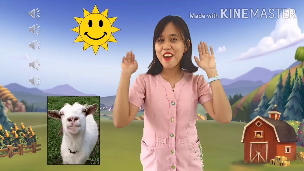 English 2 Q1 Classifying / Categorizing Sounds of Animals and Environment - YouTube