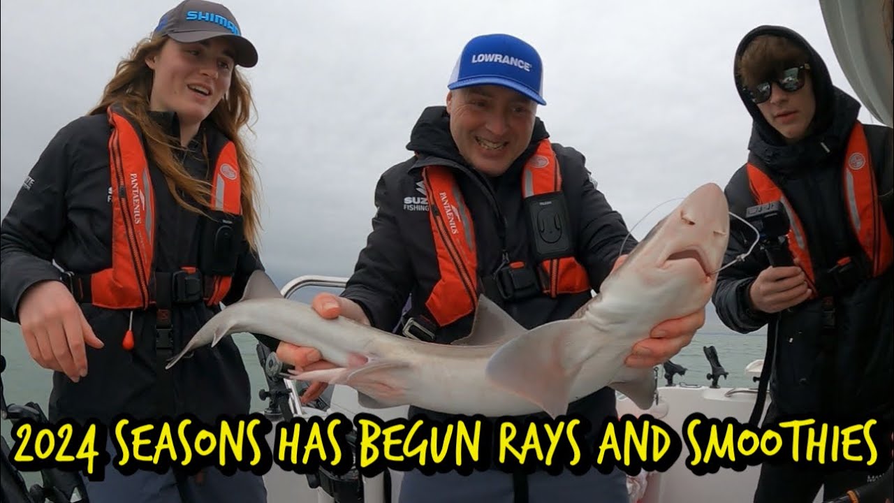 Solent Boat Fishing - Portsmouth is teeming with Rays & Smooth-Hounds ...