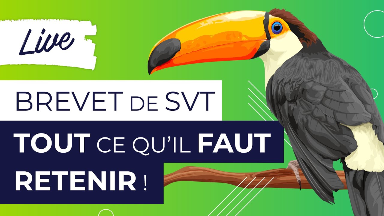 DNB de SVT : tout connaître sur les sciences ! - YouTube