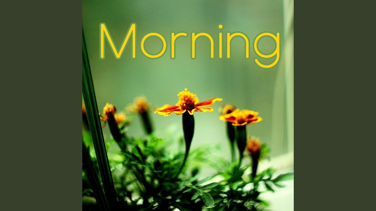 Morning melody on the guitar - YouTube