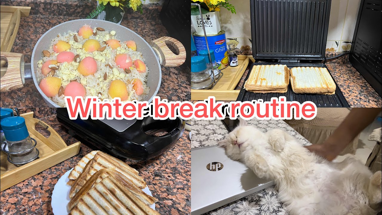 Bache sari rat ni sote😞|| chicken fajita sandwich || Hyderabadi Gulati ...