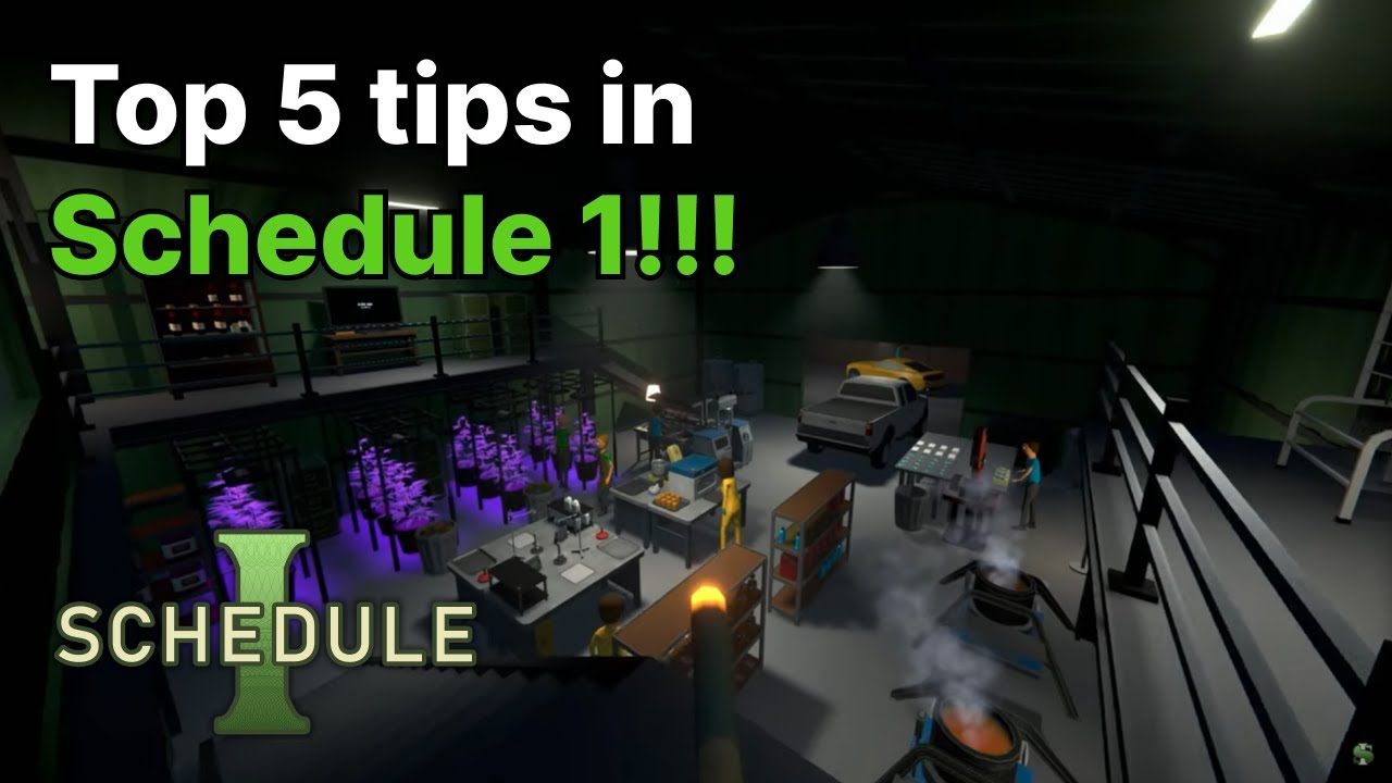 Top 5 tips in Schedule 1 - YouTube