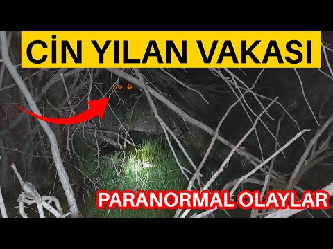 CİN YILAN VAKASI PARANORMAL OLAYLAR #cinleralemi #cin #paranormalvakalar #korkuncolay