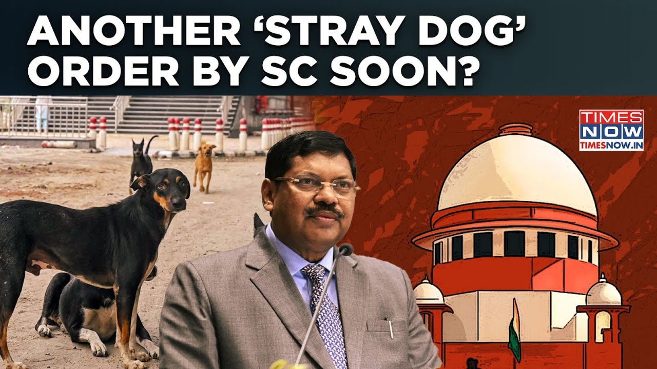 SC's Big Move On ‘Stray Dog Order’ Amid Outrage| After CJI's Remarks ...