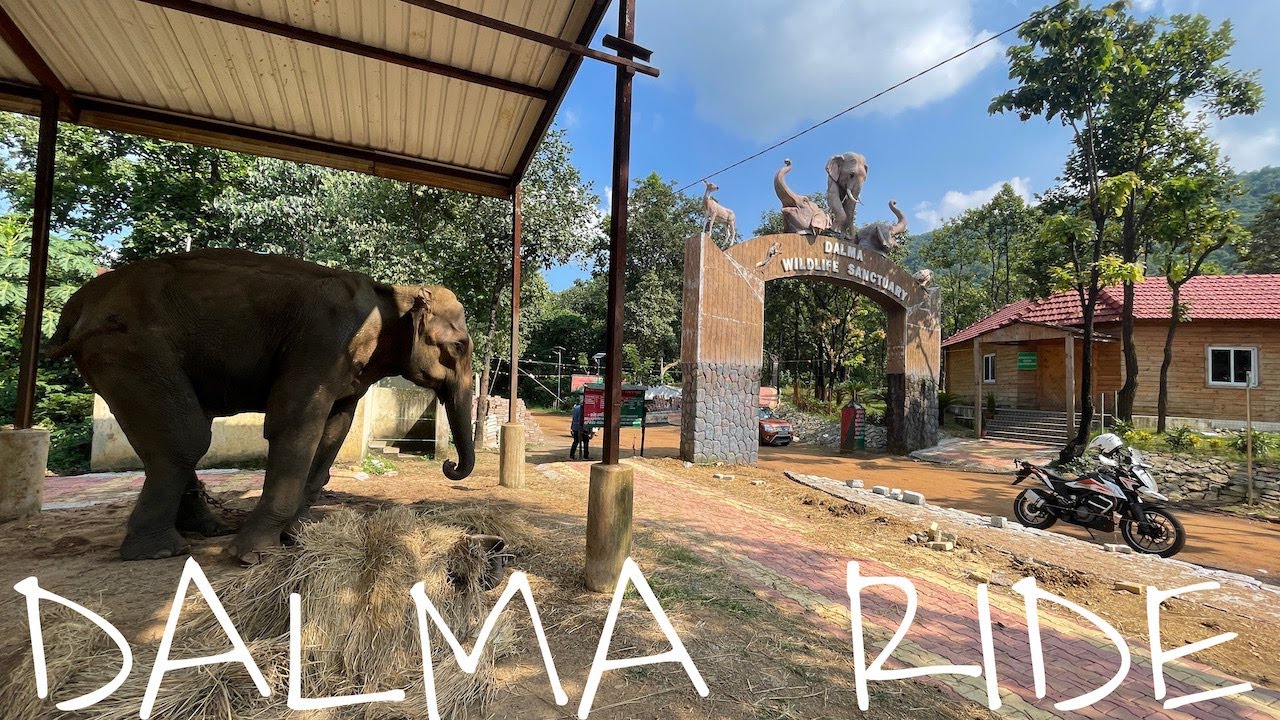 Dalma Wildlife Sanctuary | Dalma Hills | Kolkata to Jharkhand on ...