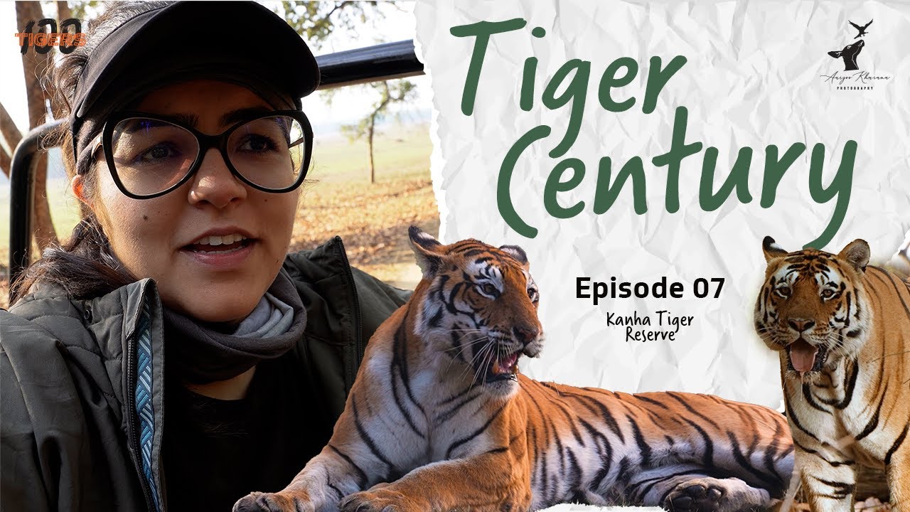 The struggle of a mother in the wild | Tiger Century EPISODE 7 | - YouTube