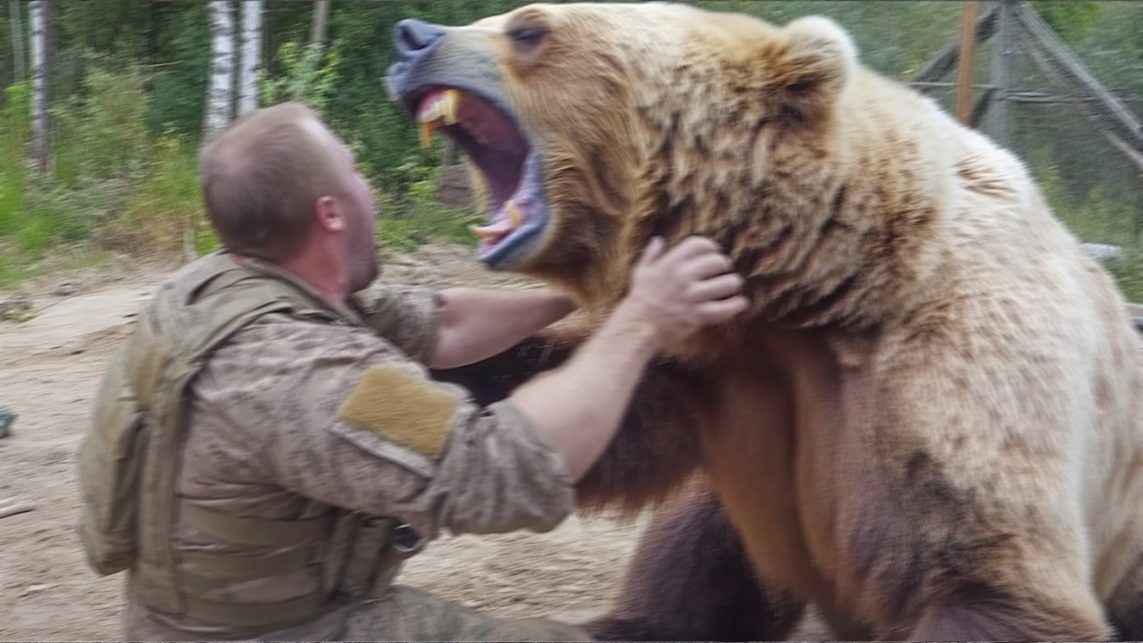 Grizzly Bear ATTACKS Army on January 27th, 2025 - YouTube
