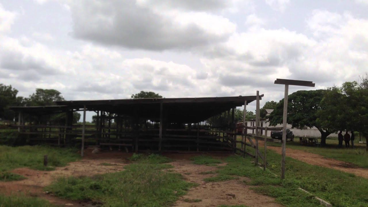 Aveyime Cattle Ranch - YouTube
