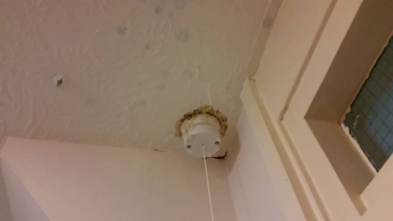 2 leaks and fast growing fungus - YouTube