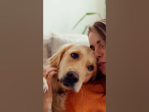 "Unbreakable Bonds: Dogs & Humans, The Ultimate Companionship!"# ...