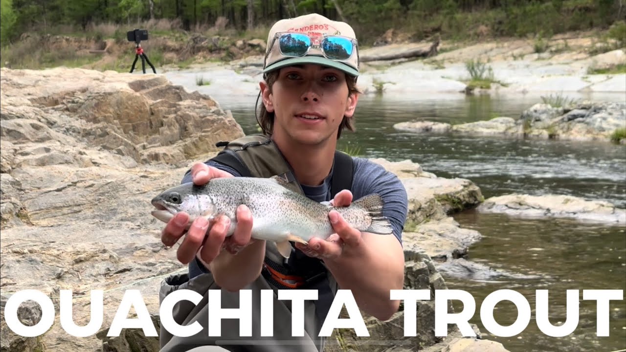 RAW Fly Fishing Footage- Catching AWESOME Ouachita Trout!! - YouTube