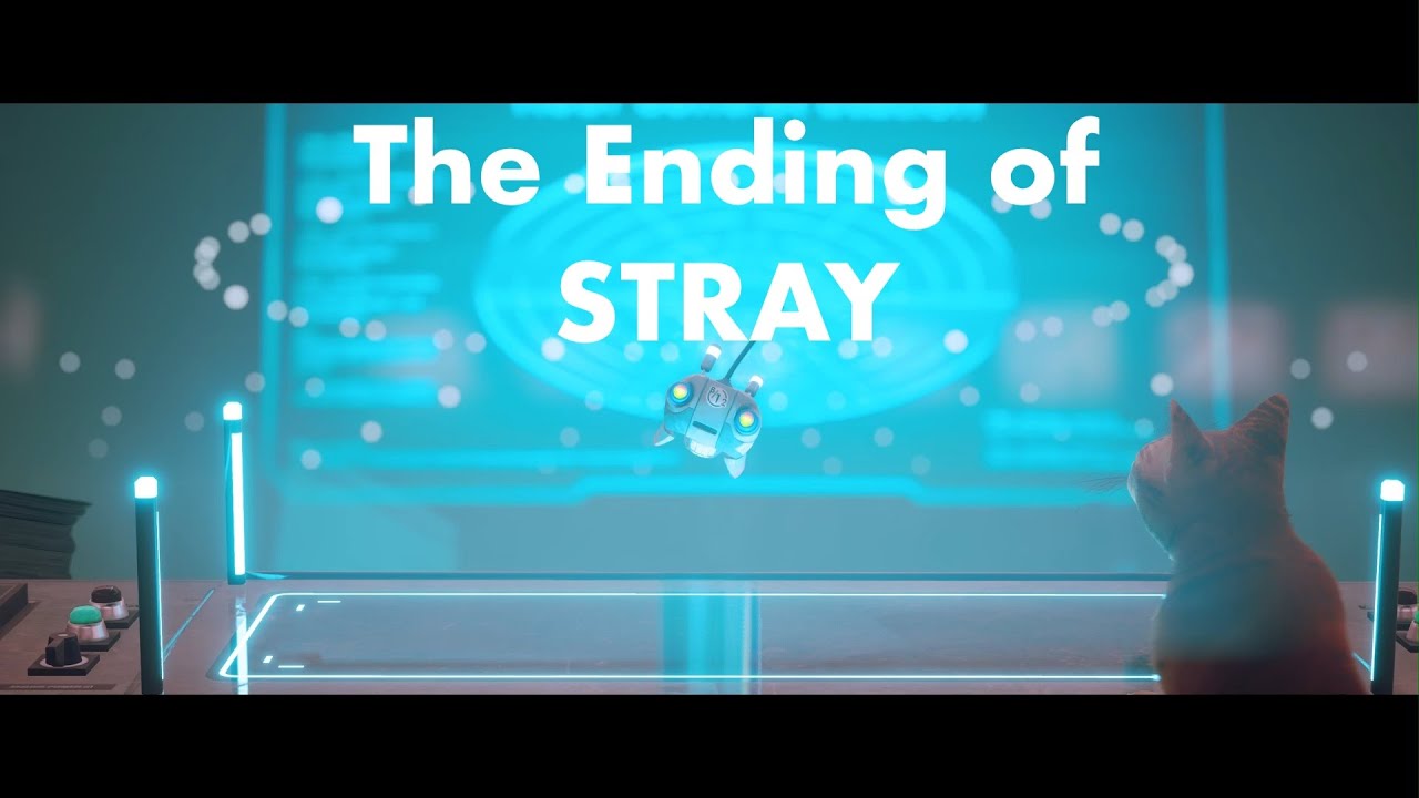 The Ending of Stray **SPOILERS** - YouTube