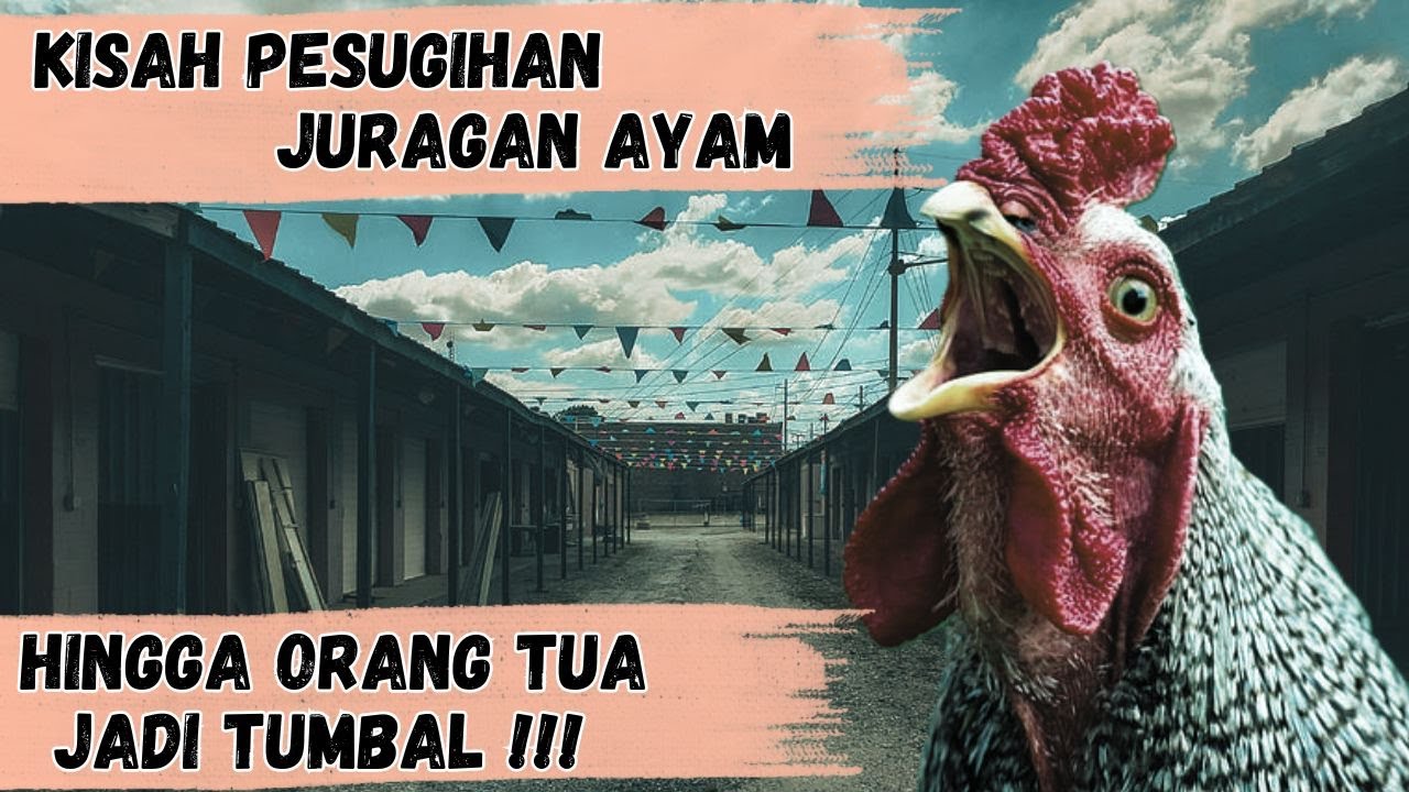 Kisah Pesugihan Juragan Ayam II Hingga Orang Tua Jadi Tumbal!!! - YouTube