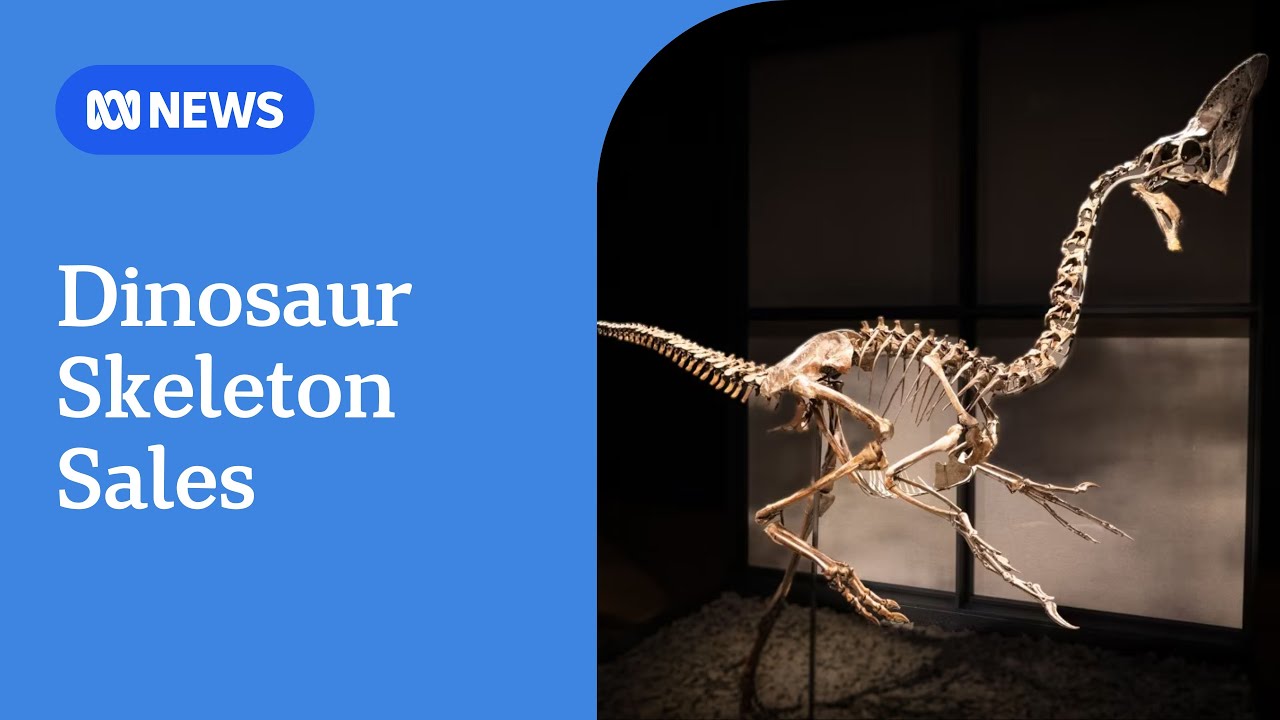 Rare dinosaur skeleton auction latest in multi-million-dollar sales ...