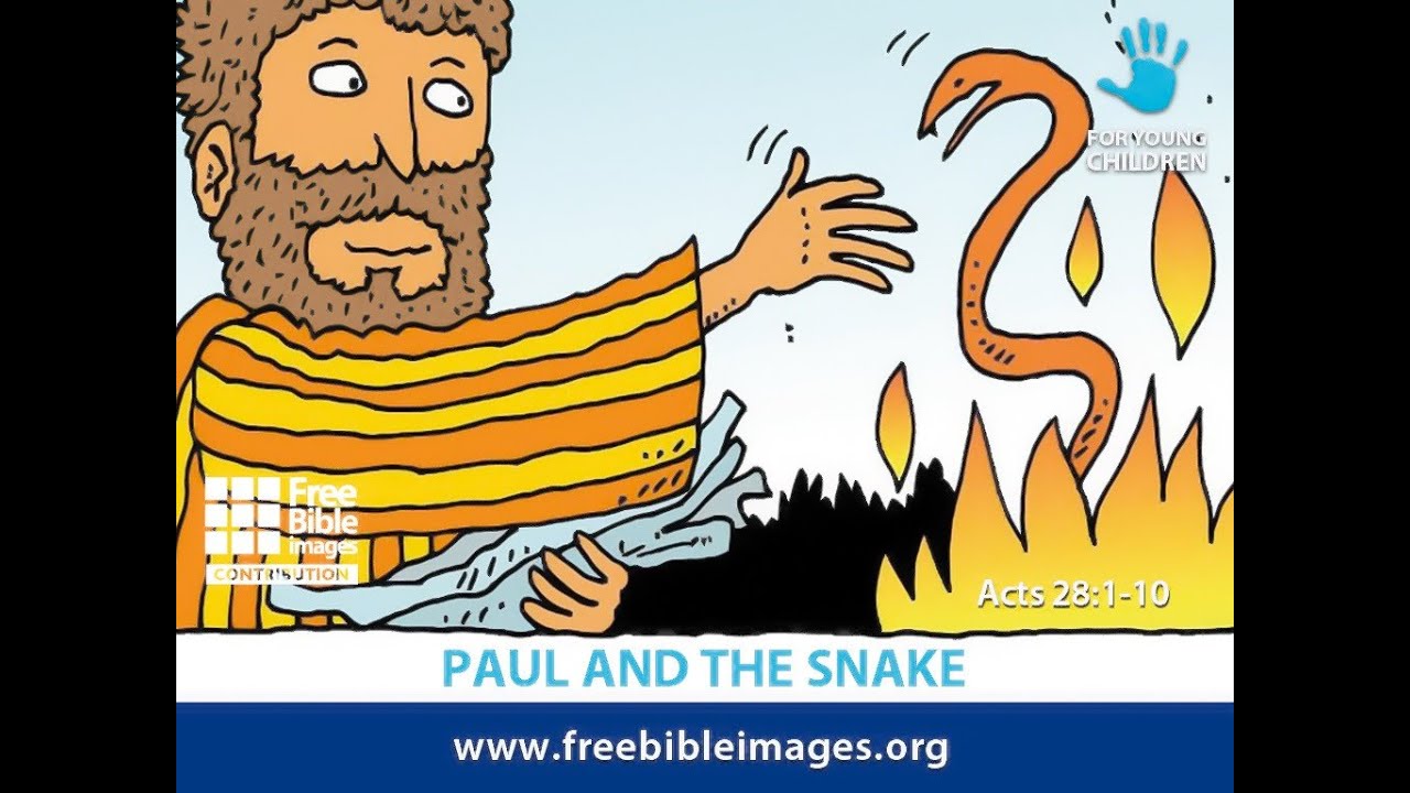 Paul and the Snake - YouTube