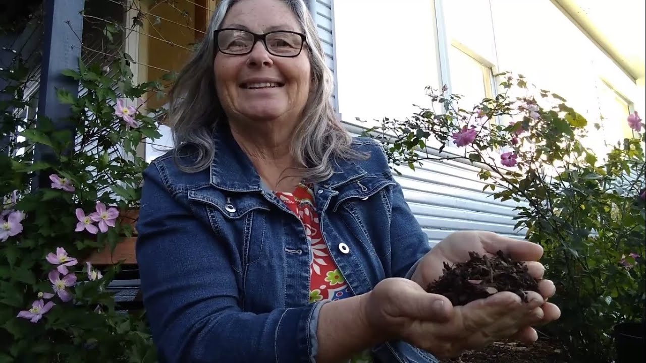 How to Mulch and the Importance of Mulching. Trish the Gong Gardener ...