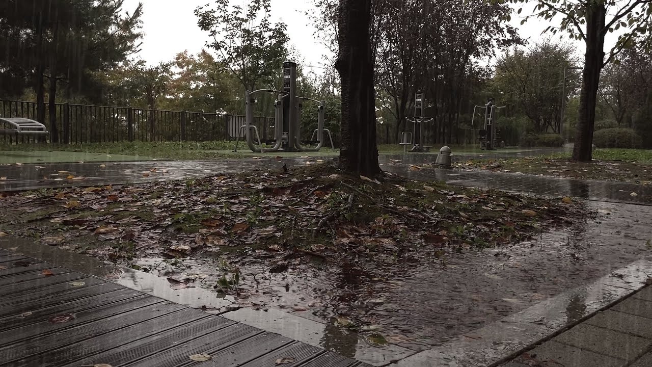 STEADY RAIN ALL DAY LONG Very soothing to promote drowsiness and sleep ...