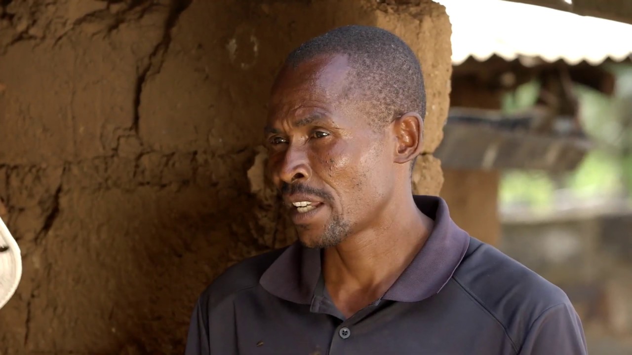 Shamba Shape Up Sn 9 - Ep 14: Tomatoes, Goats, Storage (English) - YouTube