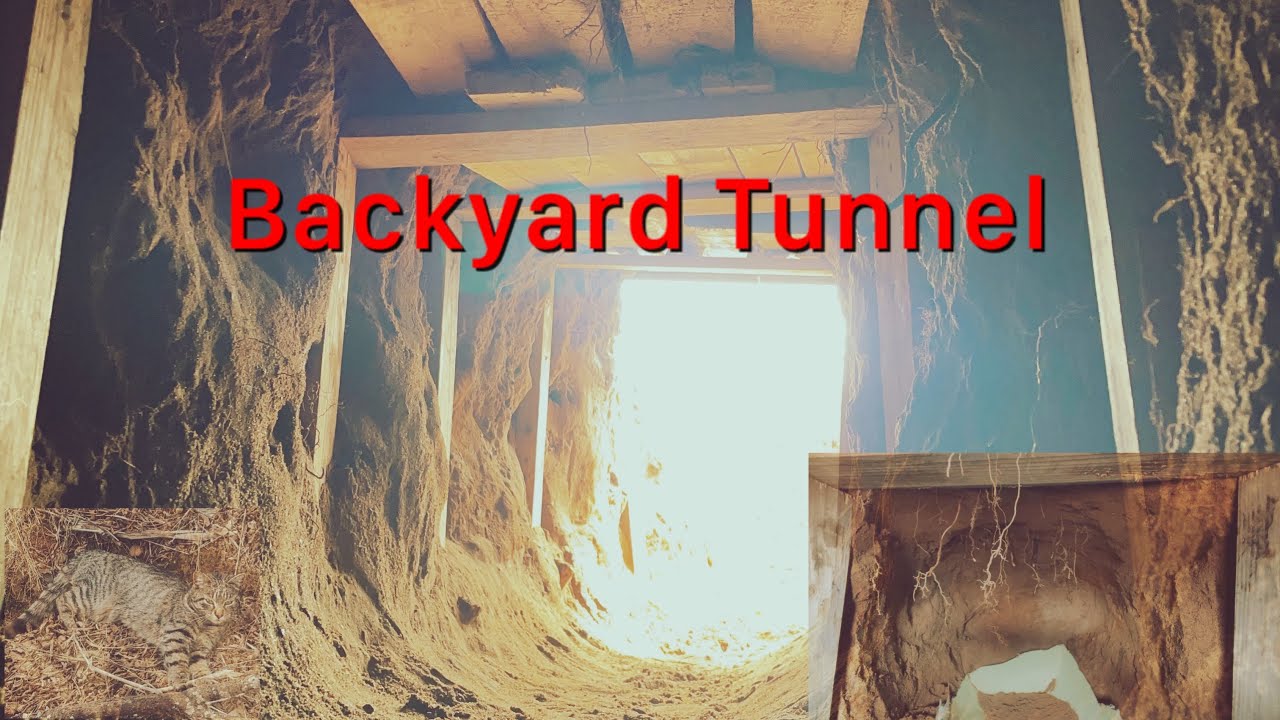 Digging A Tunnel in My Backyard - YouTube
