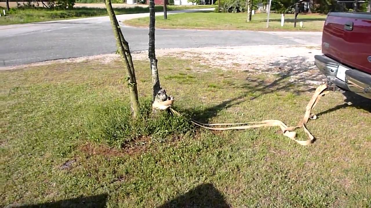 Redneck Tree Removal - YouTube