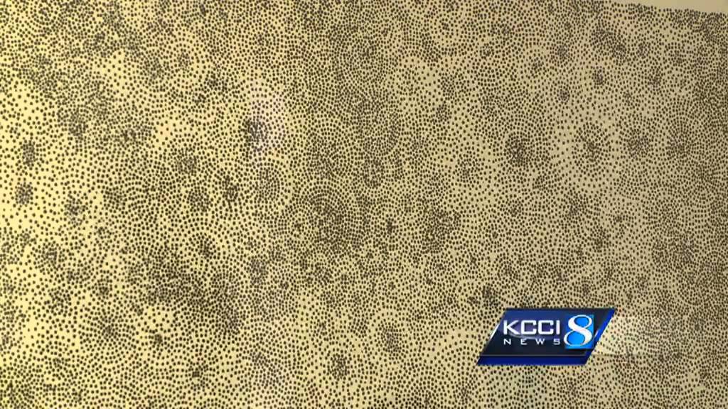 In The Artist Studio: Steven Vail - YouTube