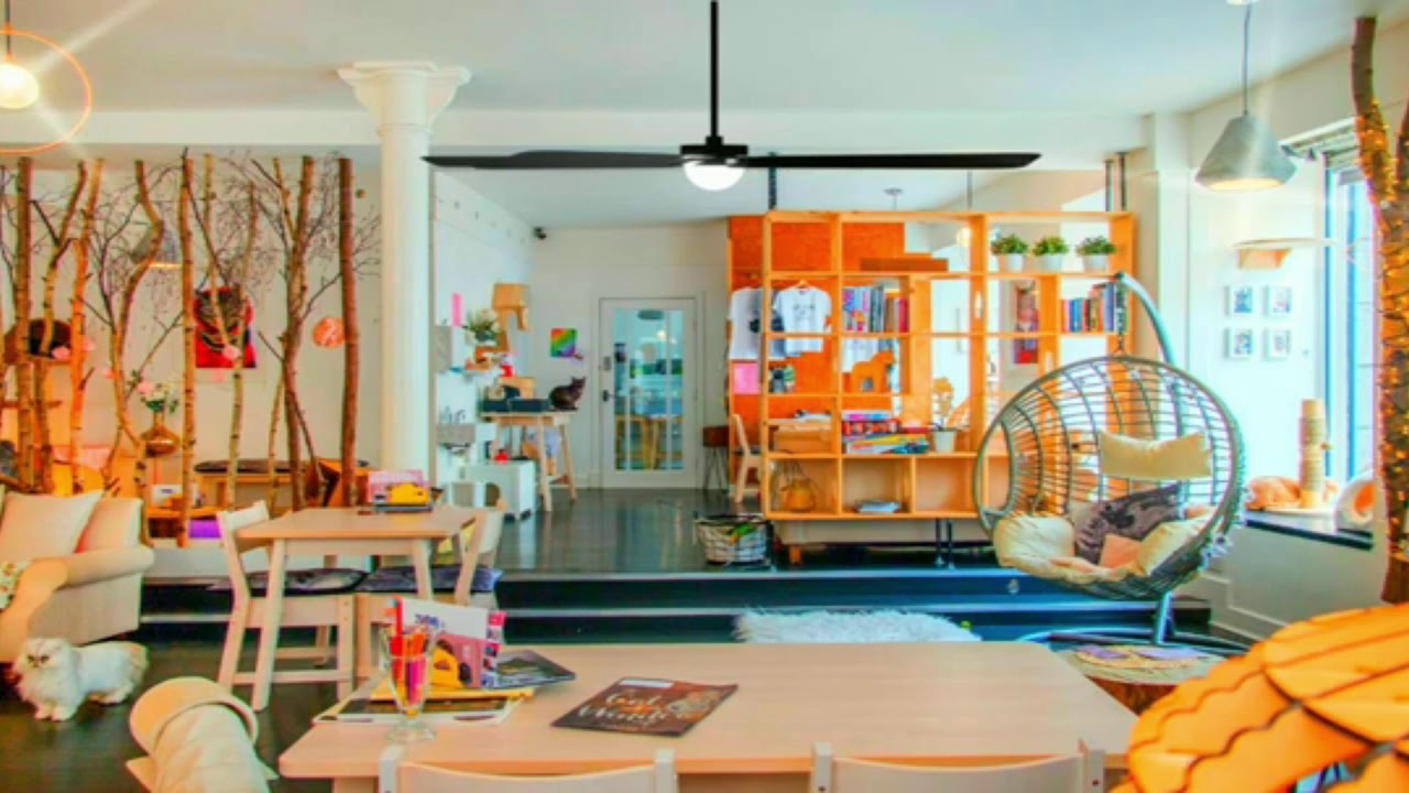 BEAUTIFUL LIVING ROOM ANIMATED BACKGROUNDS ONE HOUR HD 1080P MOTION ...