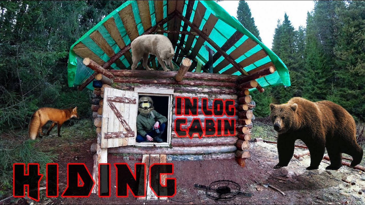 Hiding in a Log Cabin from Bears, Wolves and Foxes / Solo Building Log ...