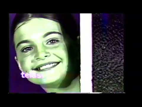 1981 Intervalos TV Tarobá , Afiliada TV Bandeirantes