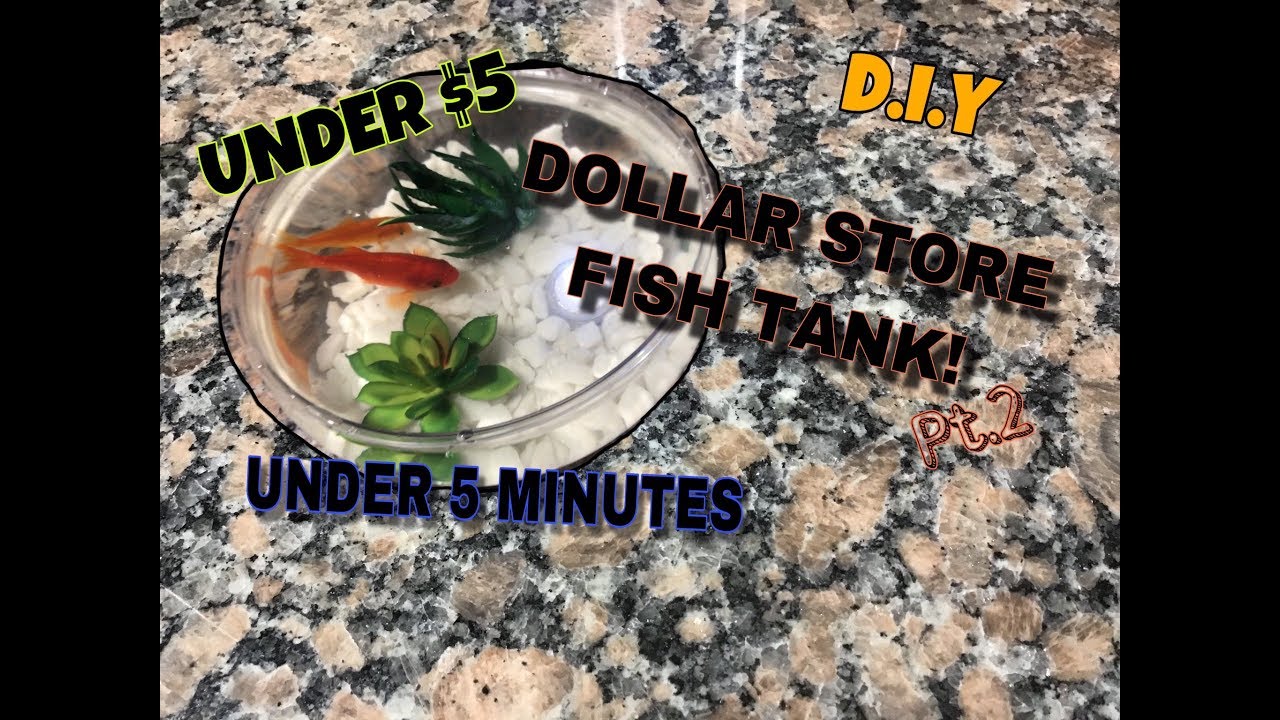 Dollar Store Fish Tank - YouTube