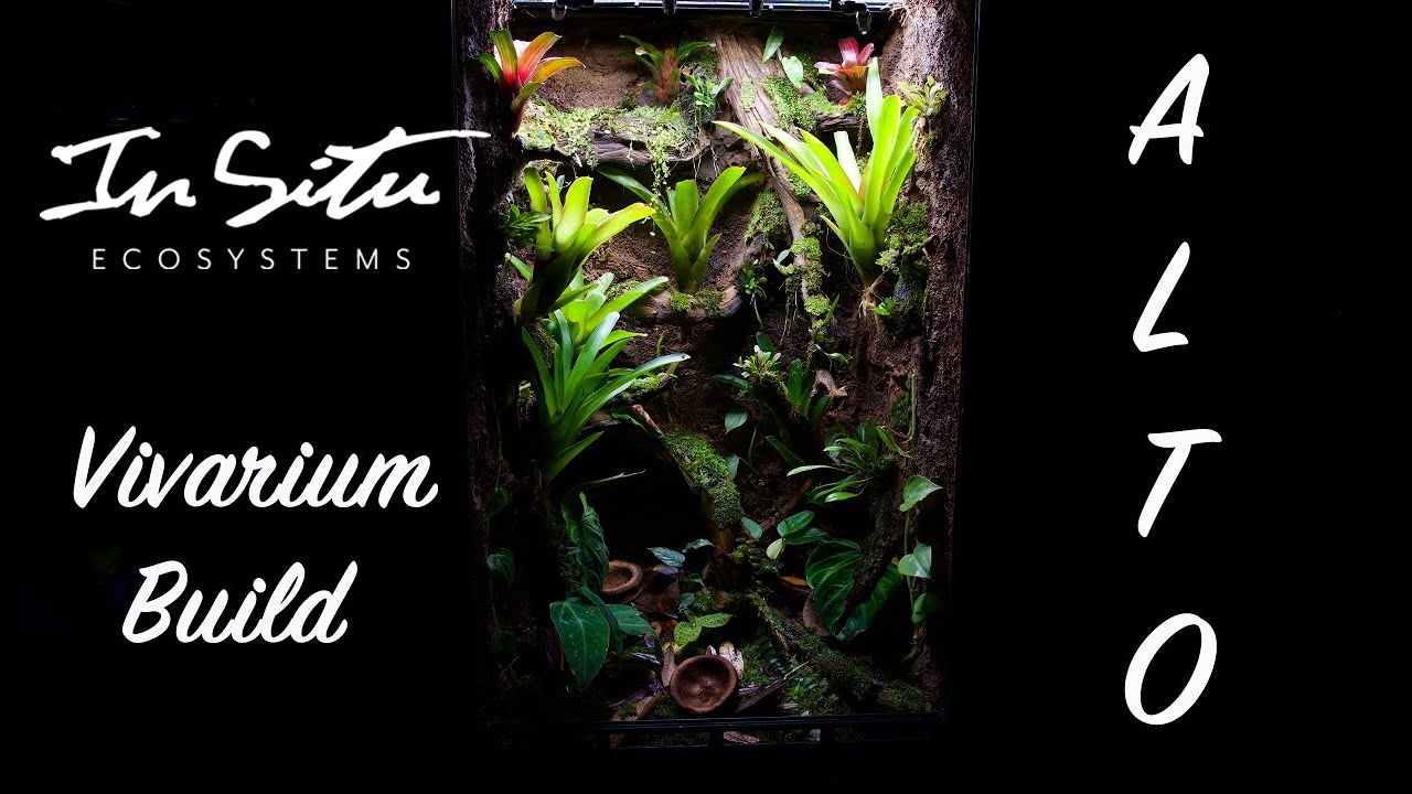 How To Build A Bioactive Insitu Ecosystems ALTO Vivarium for Poison ...