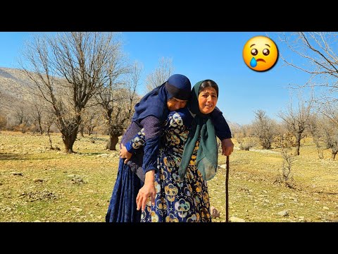 Mother-in-Law Was Dying—Daughter-in-Law Refused to Let Go