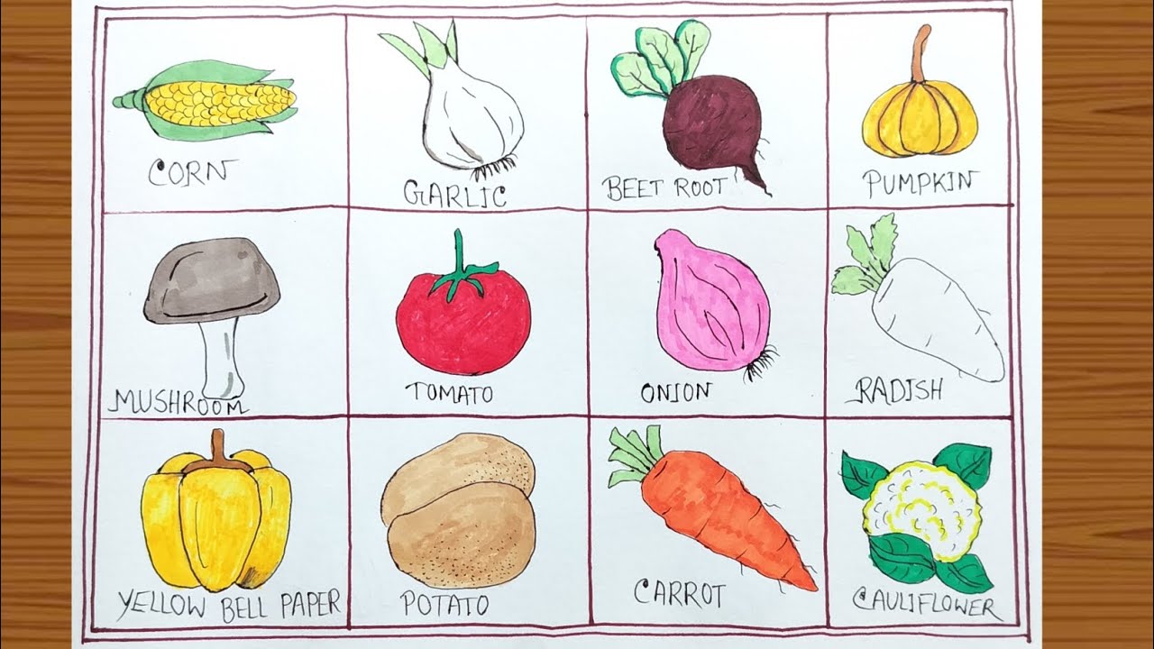 Different types of vegetables drawing easy/How to draw vegetables for ...