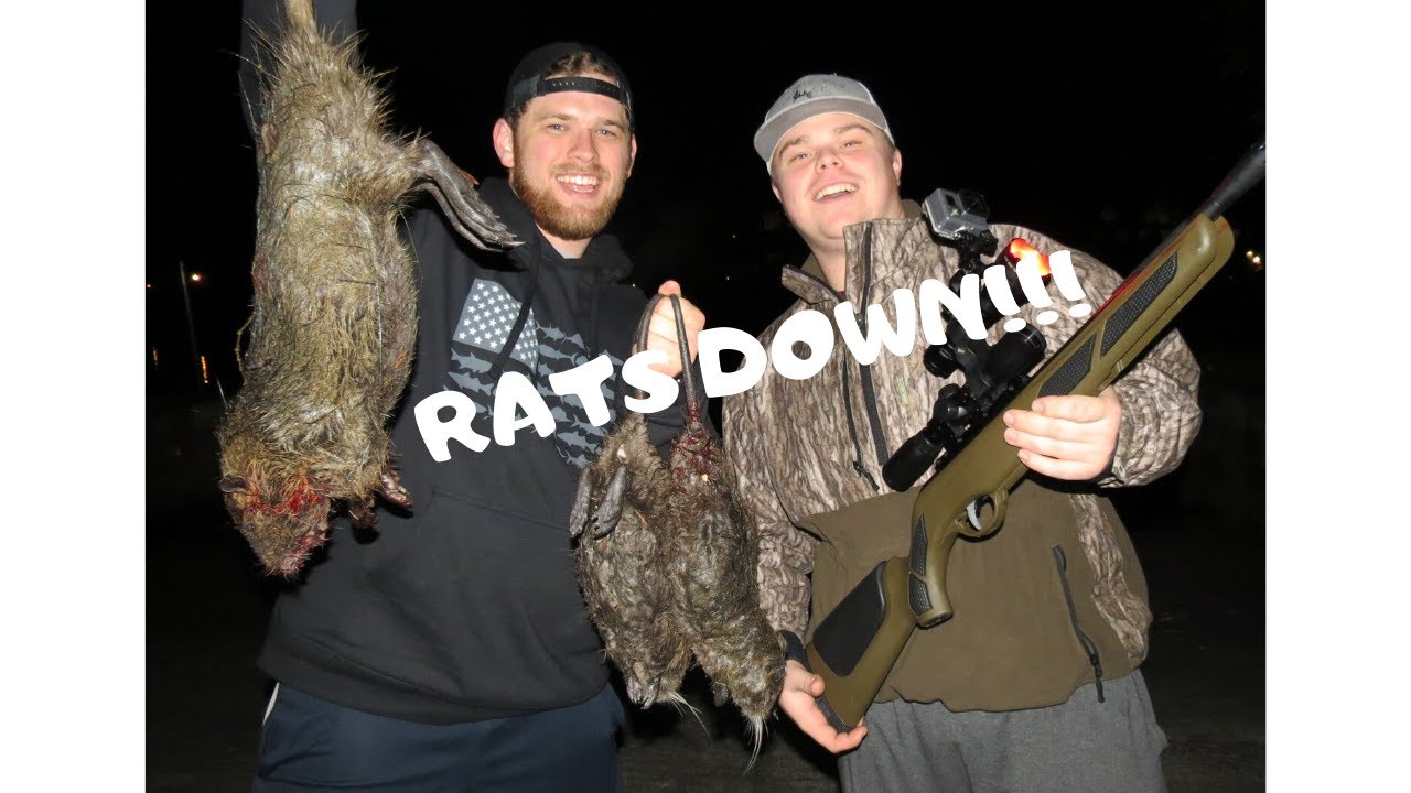 NUTRIA RAT HUNTING with the GAMO Bull Whisper (BONE COLLECTOR) PELLET ...