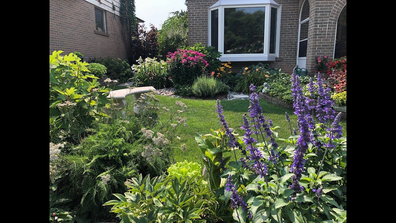 2021 My Front Yard Urban Edible and Pollinator Garden - YouTube