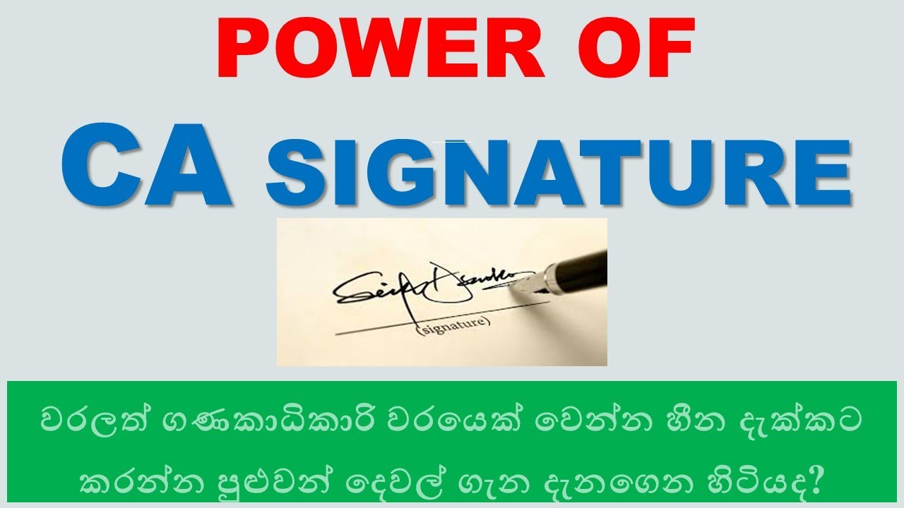 The Power and Importance of a Chartered Accountant's (CA) Signature ...