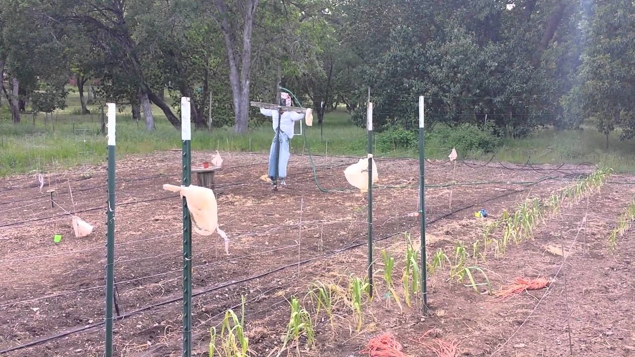 DIY motion activated scarecrow - YouTube