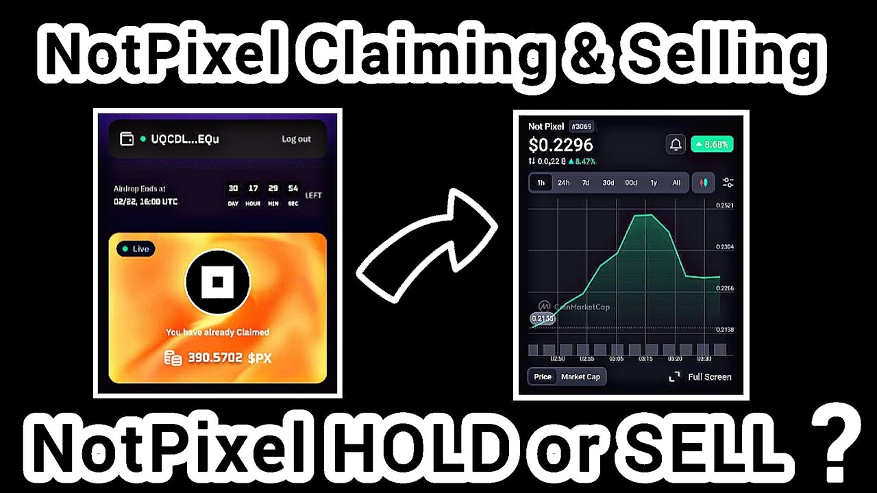 NotPixel AirDrop PX Coin Claiming And Selling Guide | PX Coin Hold or ...