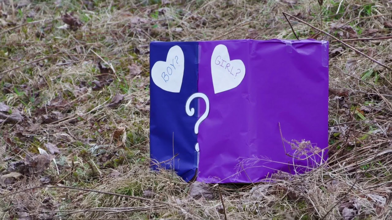 Explosive gender reveal! - YouTube