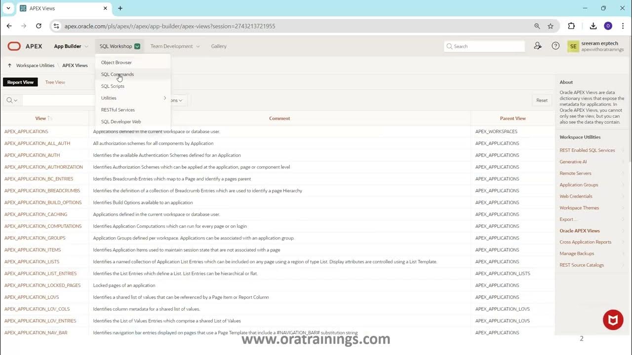 Oracle APEX MetadataViews - apex_dictionary - YouTube