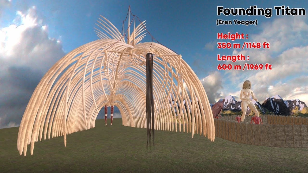 Attack On Titan Size Comparison 3D | Final Season Part 3 2023 - YouTube