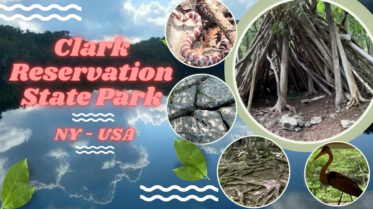 CLARK RESERVATION STATE PARK @bloomingearth-NZK Mini Jungle | dangerous ...