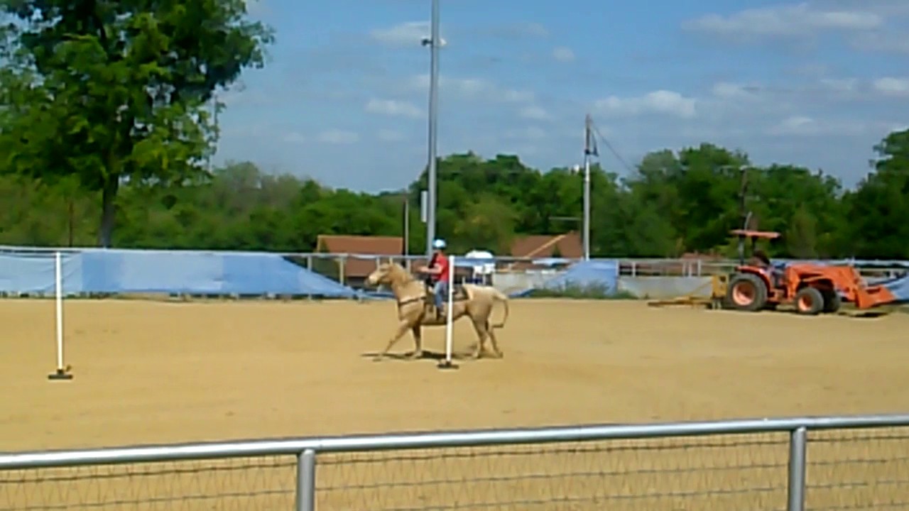 Maddie in her first rodeo - YouTube