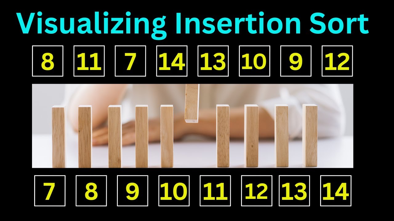 Insertion Sort Visualization (No Talking) | Silent Sorting Algorithm Animation | Programming ...