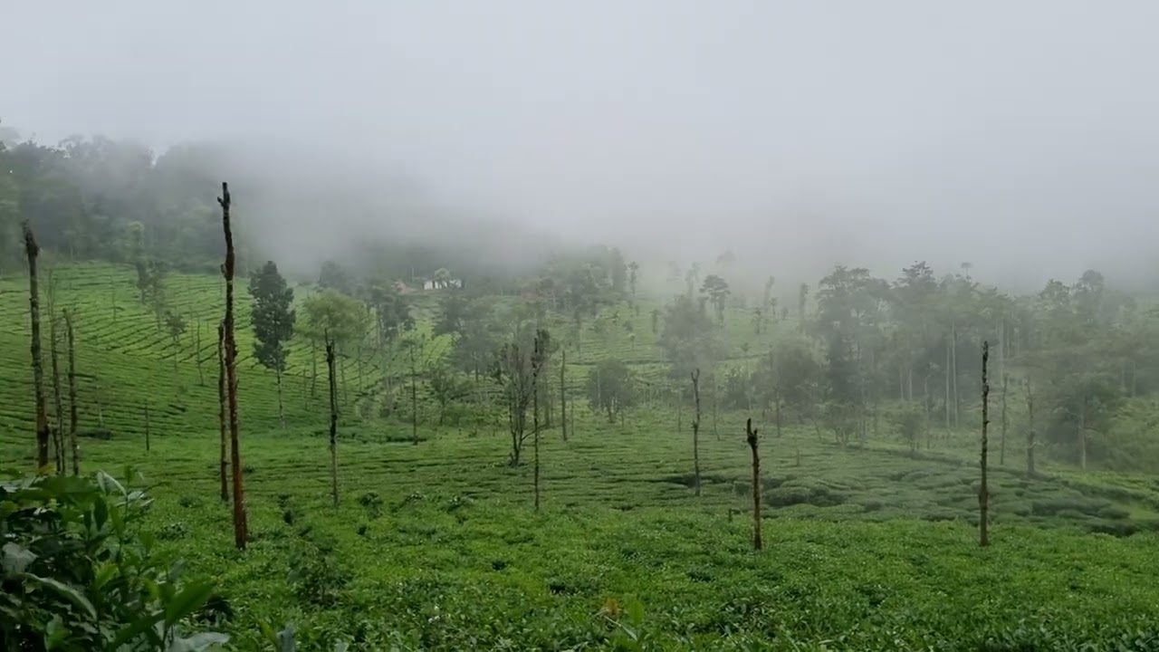 Vythiri view - YouTube