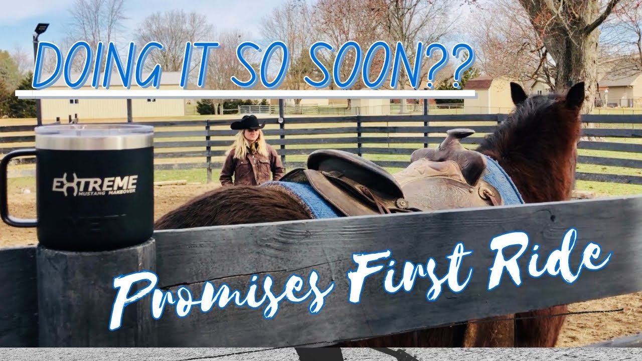 First Ride on a Wild Horse- Extreme Mustang Makeover 2021 - YouTube
