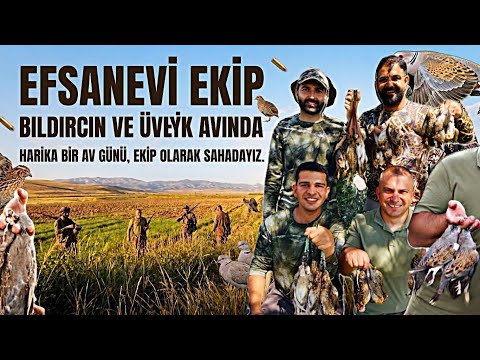 EFSANEVİ EKİPLE BILDIRCIN & ÜVEYİK AVI! 🔥 Baştan Sona AKSİYON 