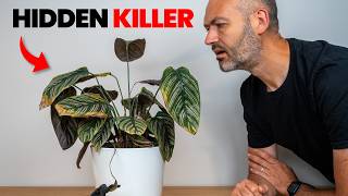 The Silent Plant Killer No One Talks About