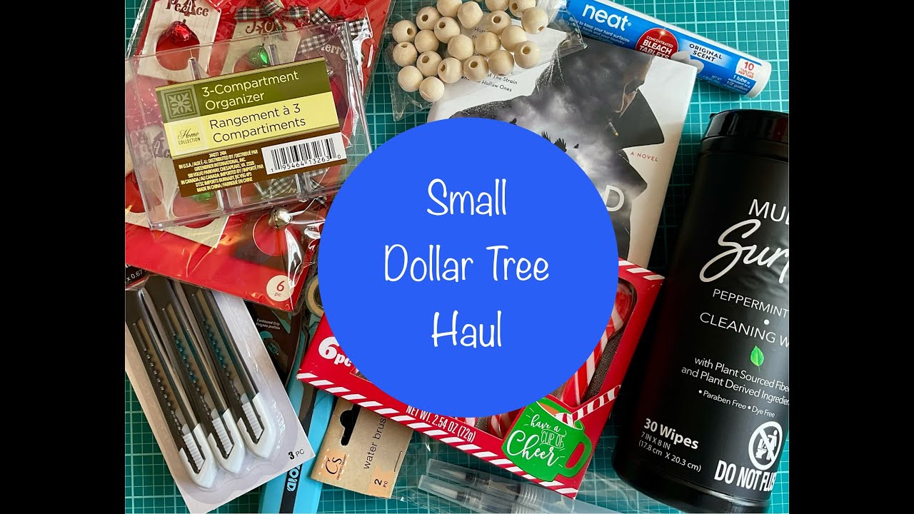 Small Dollar Tree Haul - YouTube