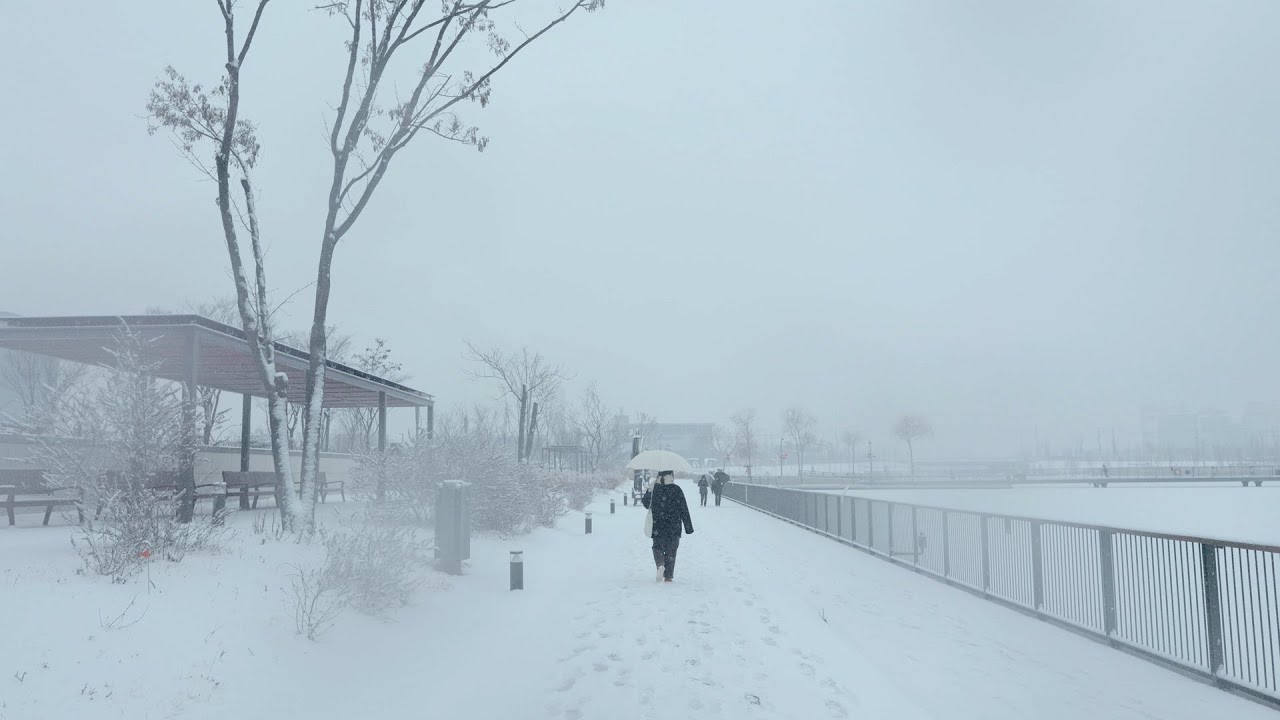 Walking around Seoul Botanical Garden Lake Park in heavy snow / Seoul ...