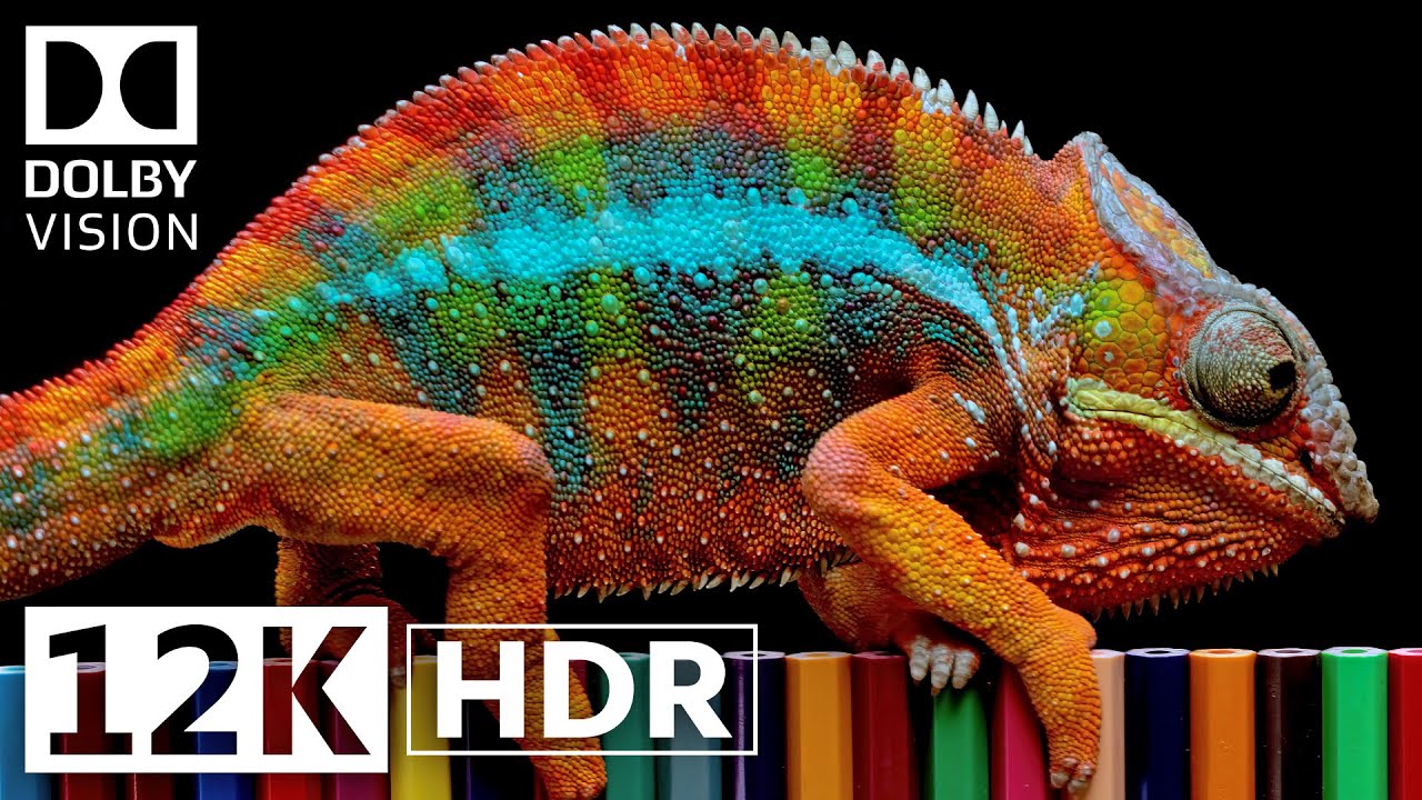 Real 12K HDR 60fps Dolby Vision